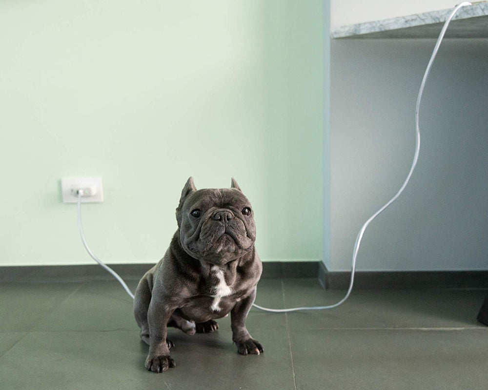 PetCords-Cord Protectors for Pets