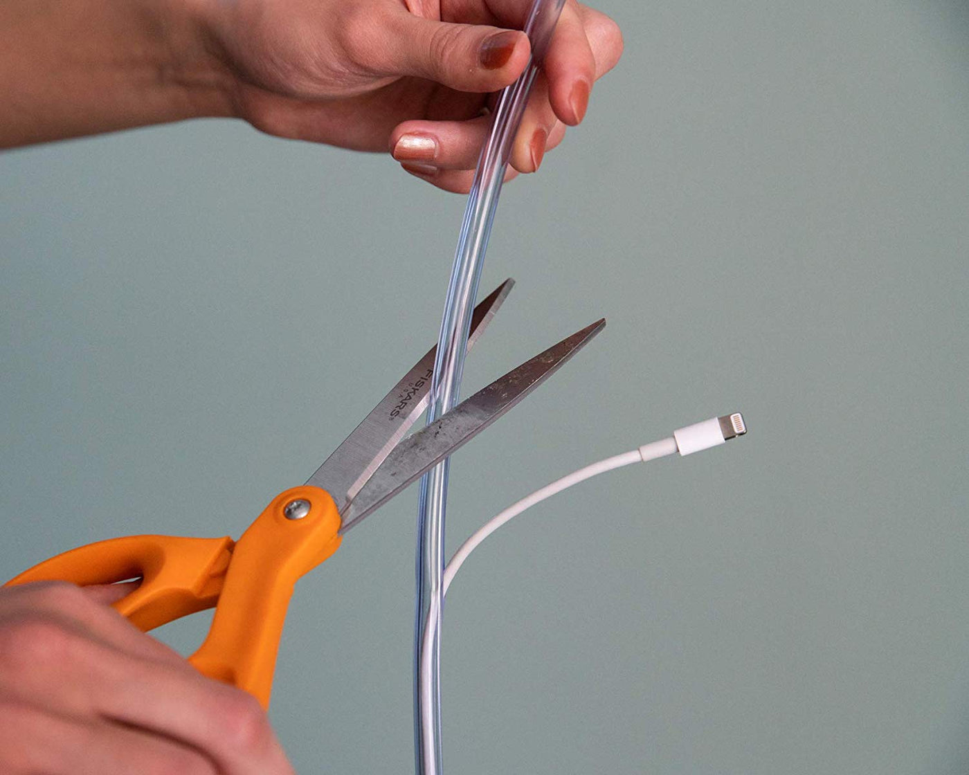 PetCords USA: Protect Your Pets from Cables with Best Cord Protectors