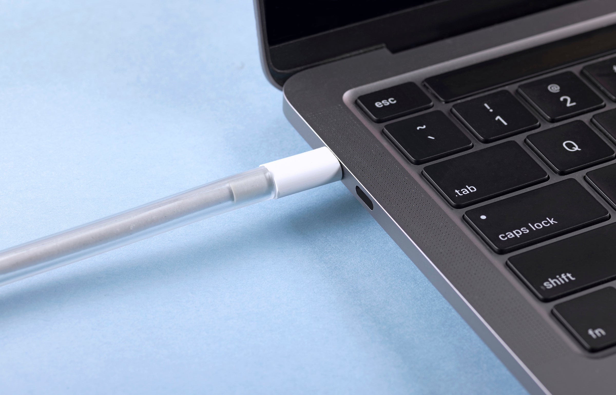 PetCords USA: Protect Your Pets from Cables with Best Cord Protectors